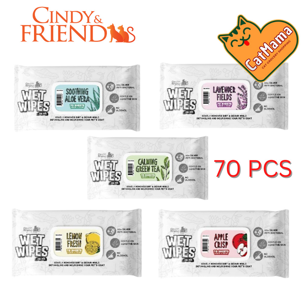 Cindy & Friends Wet Wipes with AG+ Nano Silver 70 Sheets | Shopee Malaysia
