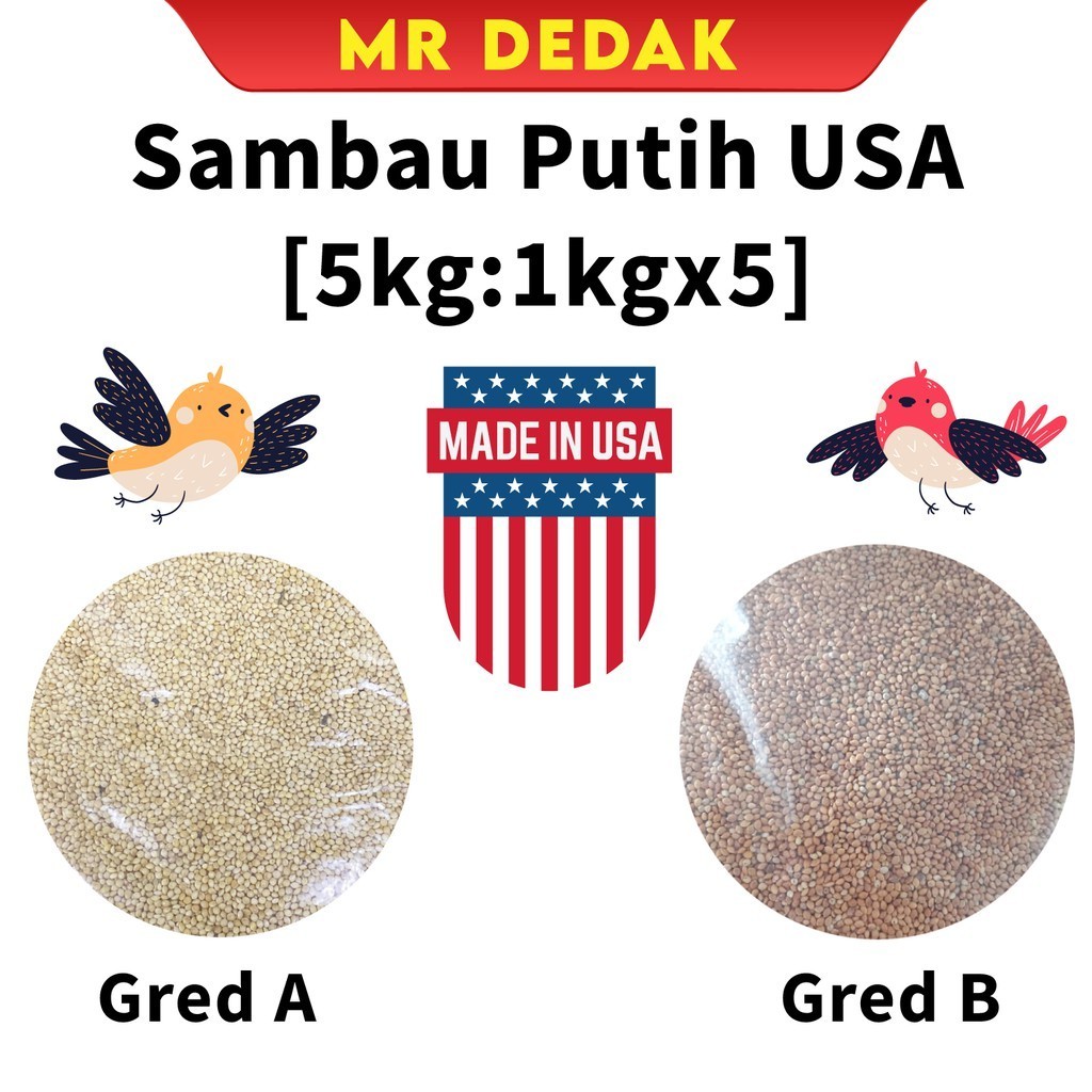 [5KG] Sambau Putih/Sekoi/White Millet USA [Makanan Burung,baji,burung ...