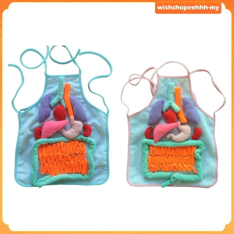 [WishshopeehhhMY] 3D Organ Apron Awareness Early Childhood Science ...