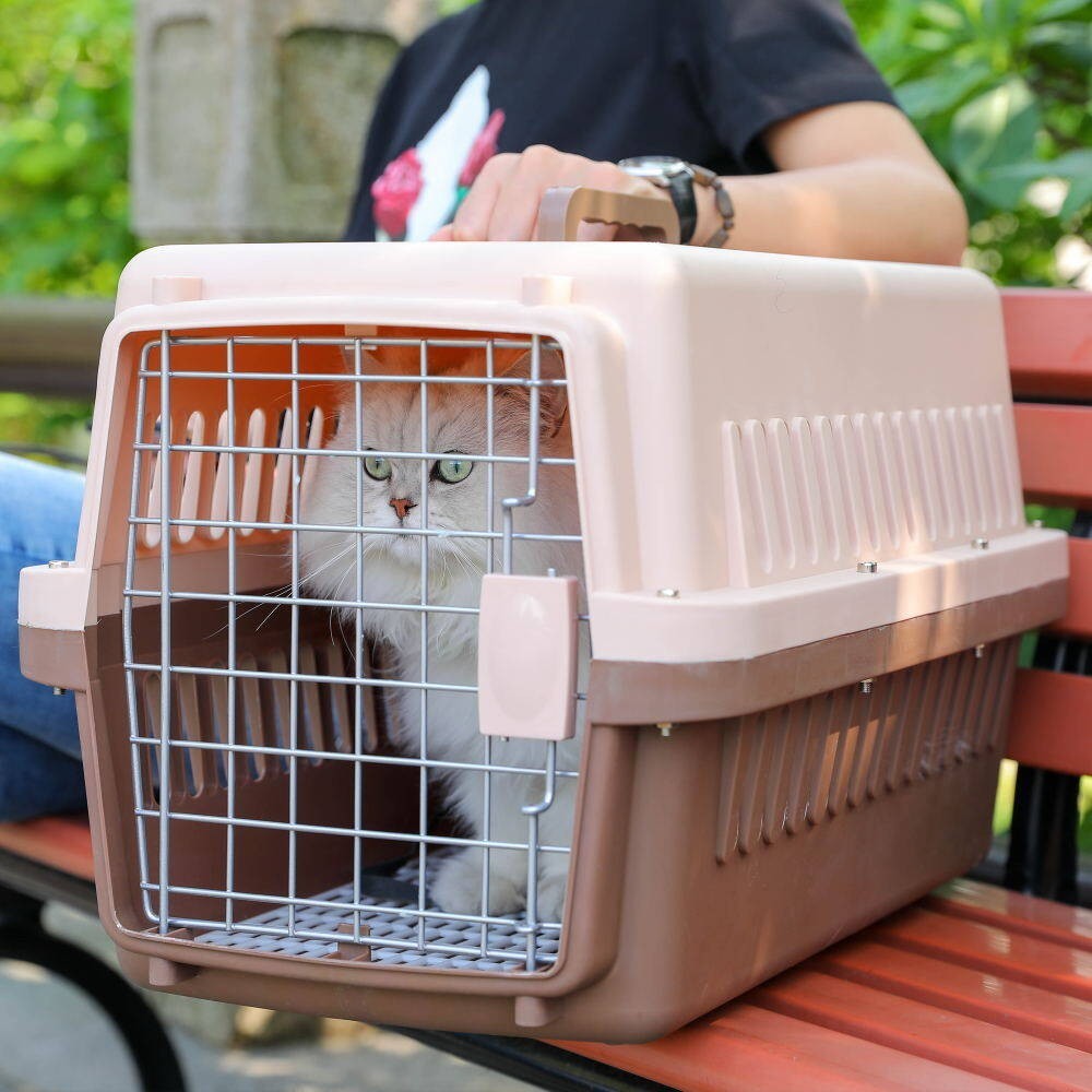 Pet Carrier Cat Carrier Beg Bakul Sangkar Kucing Dog Carrier Pet Cage ...