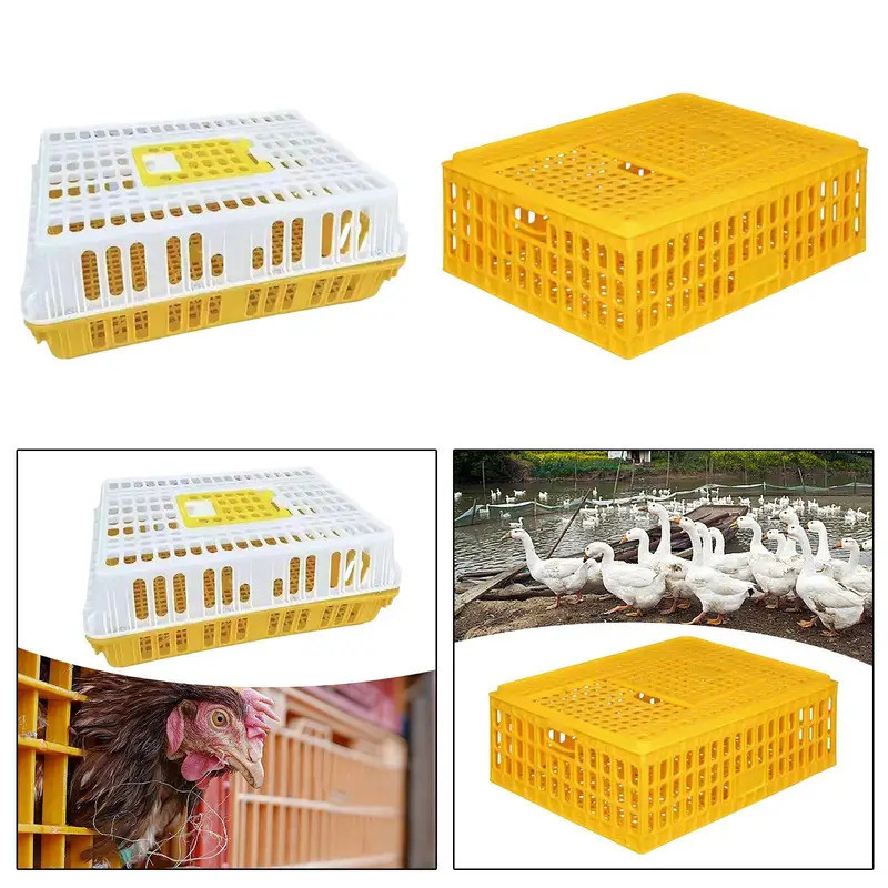 Poultry transport plane, chicken coop transport box, farm chicken frame ...