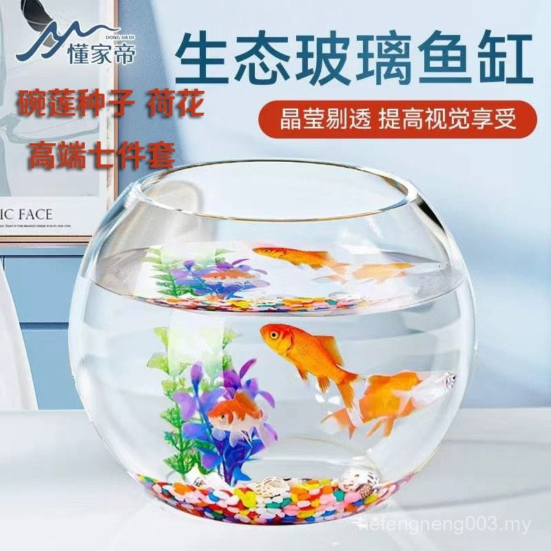 Shopee Official Glass Spherical Fish Tank Round Hydroponic Transparent ...