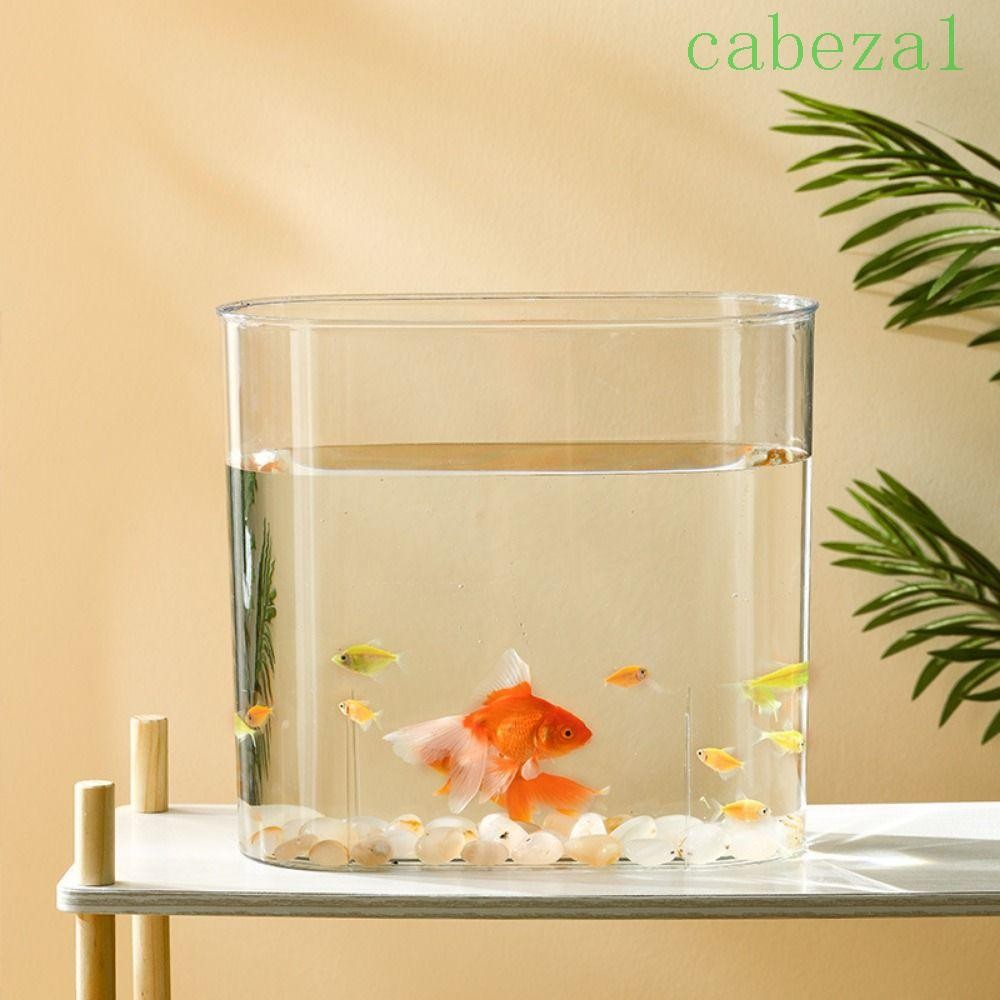 CABEZA Plastic Fish Tank, Transparent Oval/Square Desktop Fish Tank ...