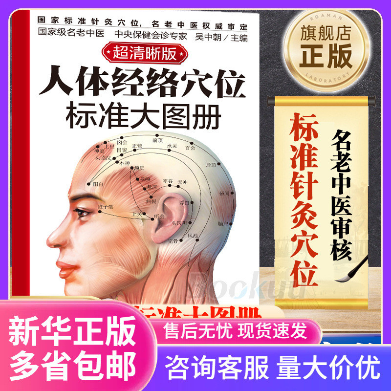 Human Body Meridian Acupoint Map Standard Large Atlas Acupoint Map ...