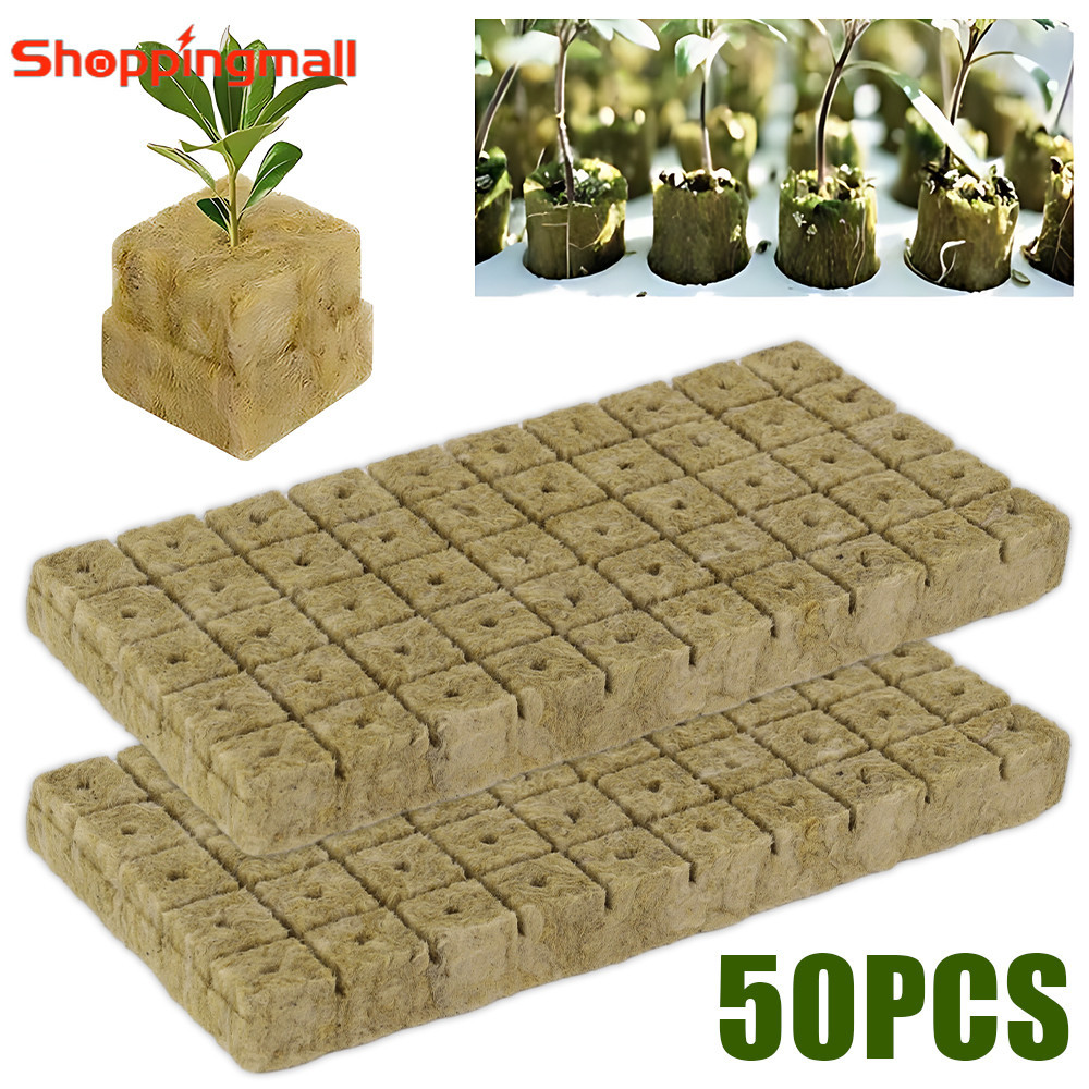 Plant Propagation Soilless Substrate Seeded Block- Propagation Seedling ...