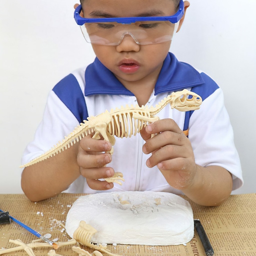 Dinosaur Fossil Digging Toys, Dinosaur Bone Digging Archeology Set, For ...