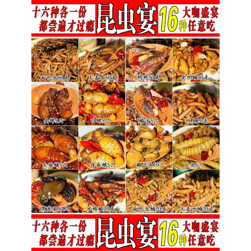 16 spesies goreng, cacing, jangkrik emas, cacing kacang, cacing kelapa ...