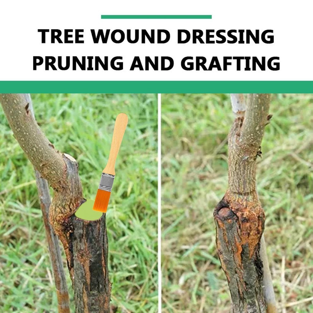Tree Wound Repair Tree Wound Pruning Sealer & Grafting Plant Grafting ...