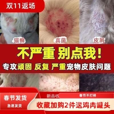 Satu Tablet untuk Menyahcacing Anjing dan Haiwan Peliharaan yang ...