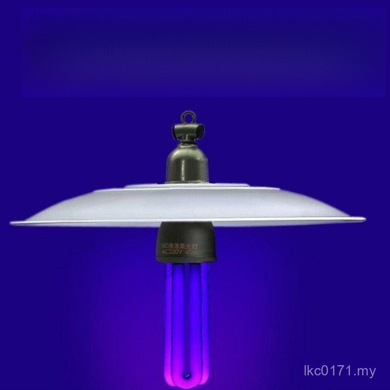 Light Bulb Insect Trap Light Attract Insect Black Light Waterproof ...