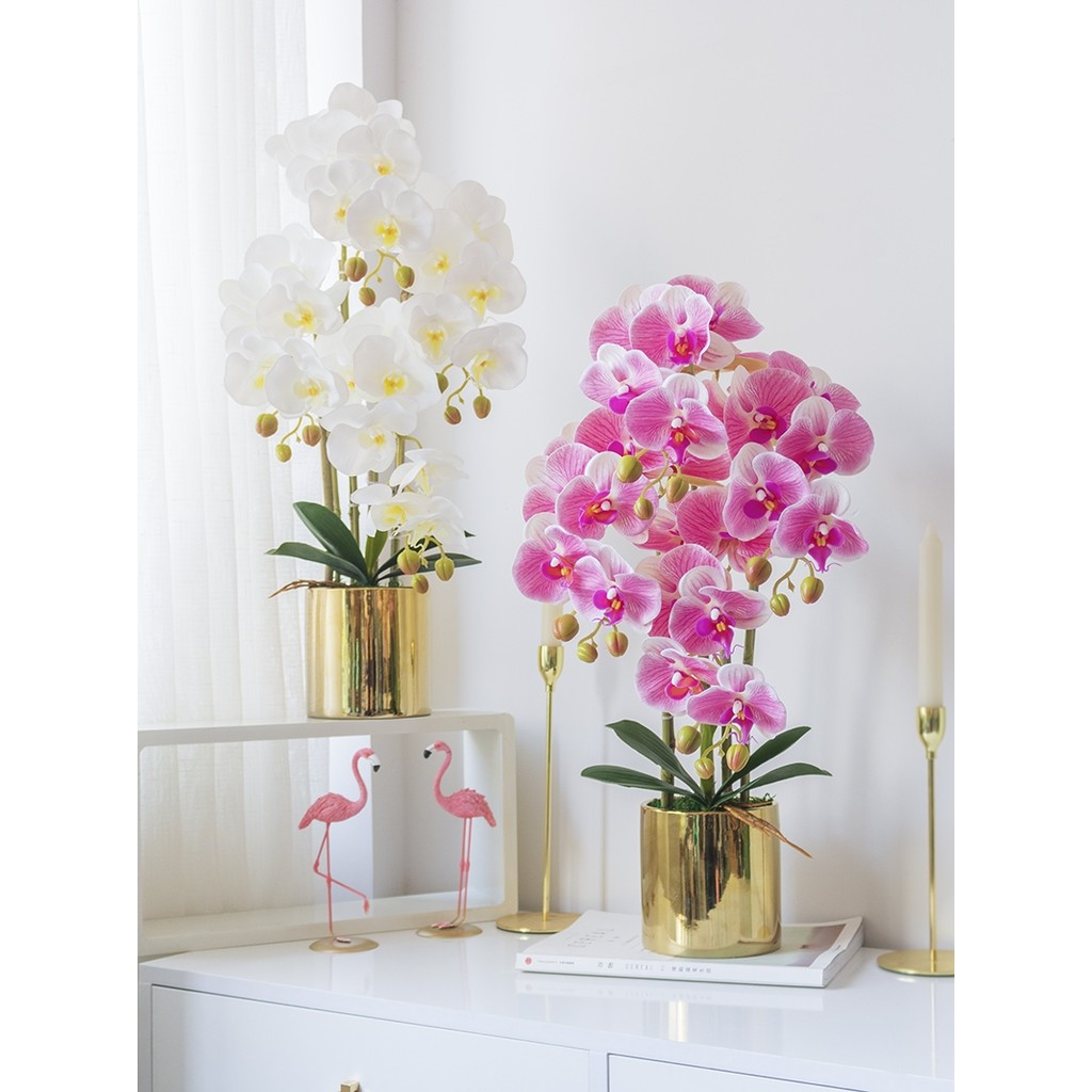 Set Periuk Bunga Seramik Emas Phalaenopsis Orkid Tiruan Hiasan Bunga ...