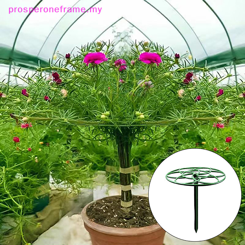 prosperoneframe 1Pc Plastic Garden Stackable Climbing Frame Plant Cage ...