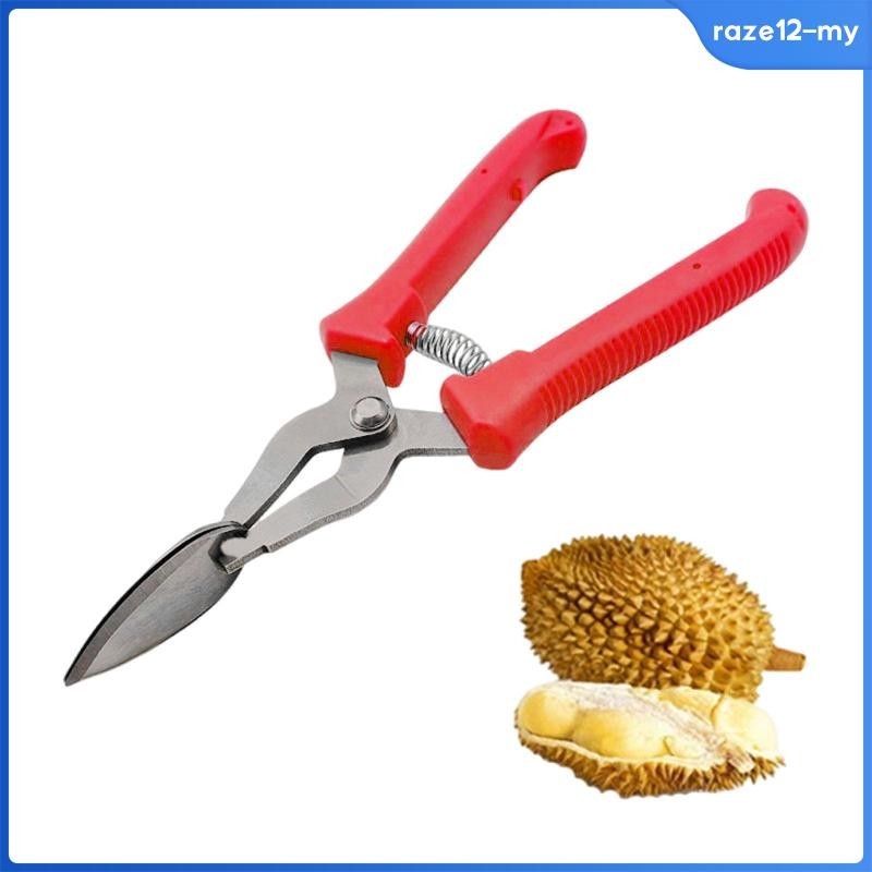 [RazecaMY] Fruit Opening Tool Multifunction Open Durian Hand Tool ...