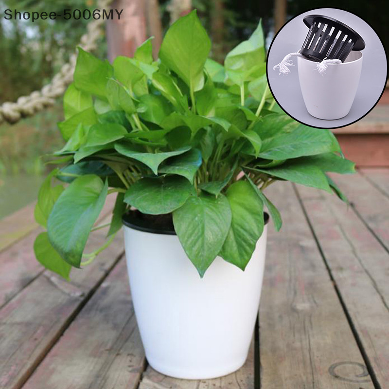 [HOT-J] Automatic Water-absorbing Succulent Flower Pot Basin Fleshy ...