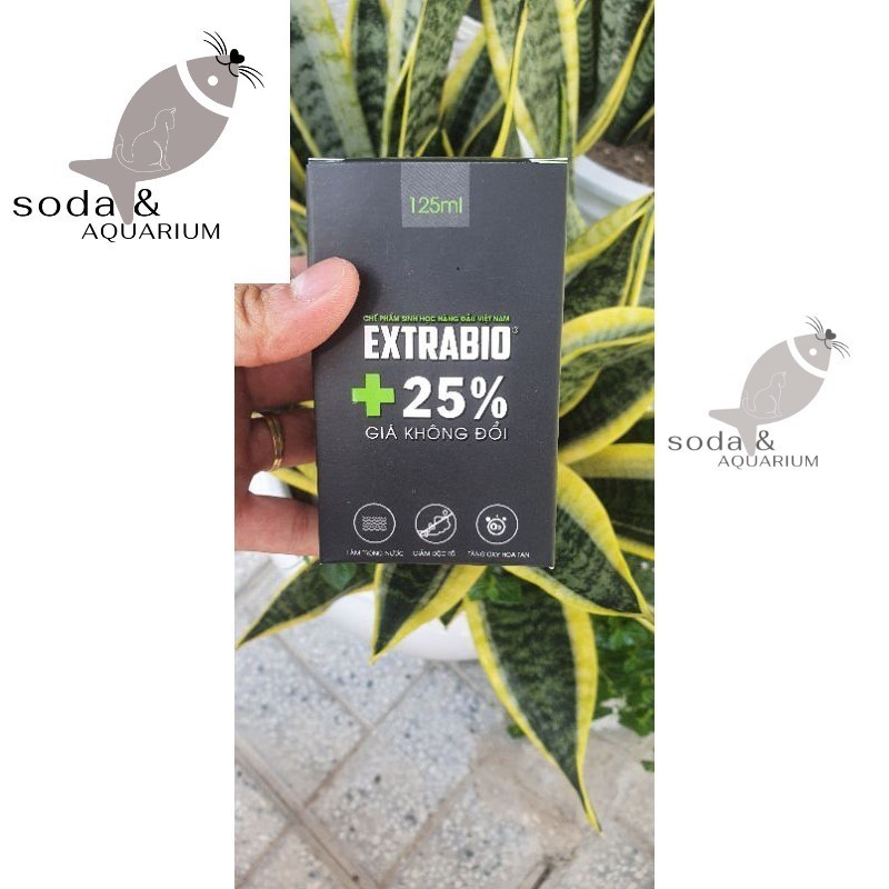 Extra Bio Microorganisms for Water Purification, Deodorization ...