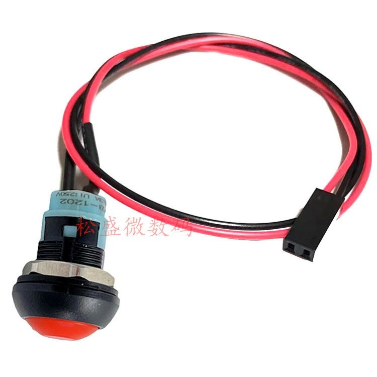 P PBS-33A Self-Locking Push Button Switch to 2P Dupont Cable Female ...