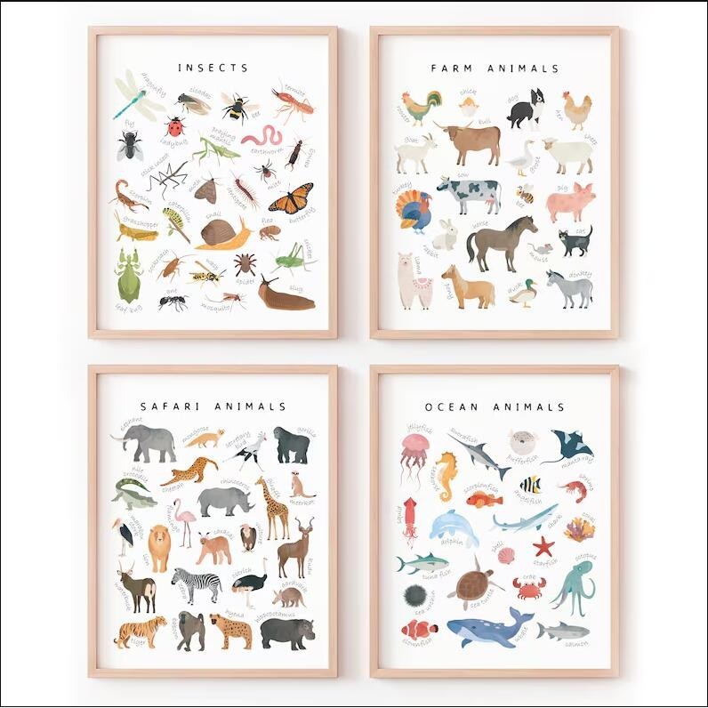 Educational Animal Posters Insects Farm Animals Safari Animals Ocean ...