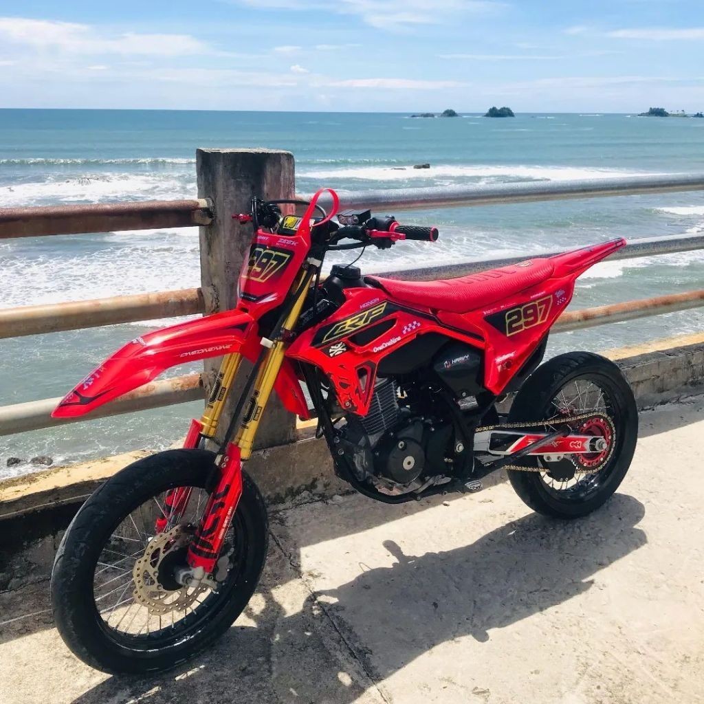 Decal/sticker CRF 450L/CRF150L/WR155/DTX/KLX gordon /KLX BF full body ...