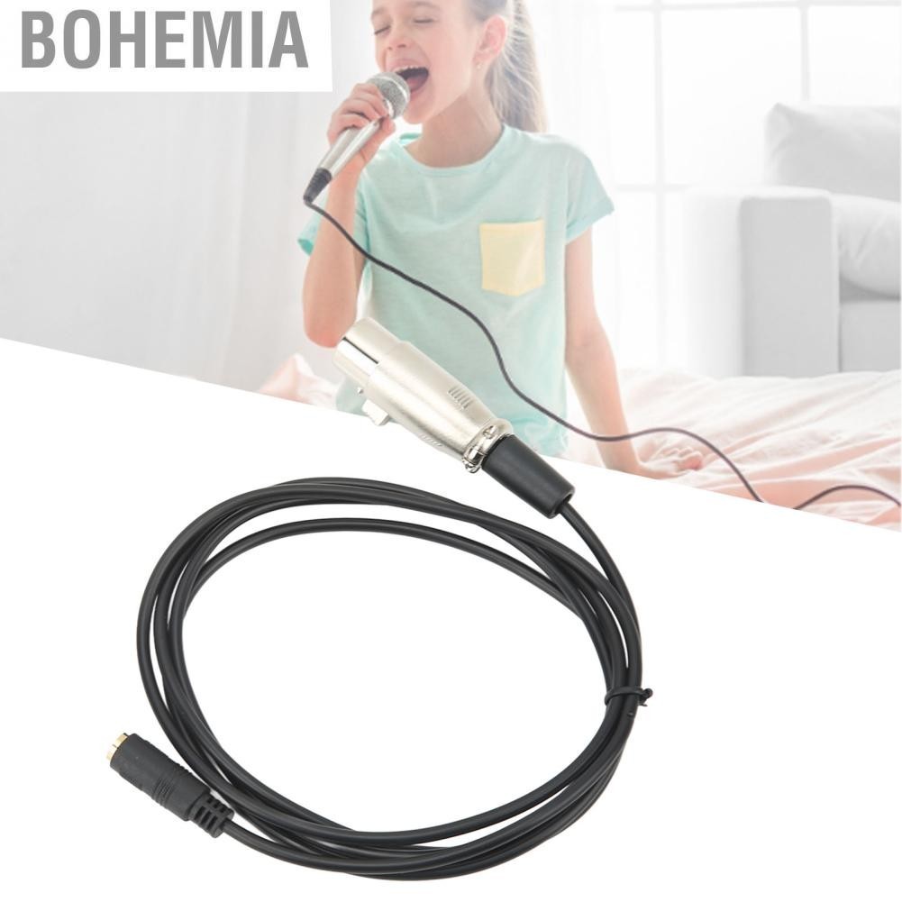 Bohemia Adapter Cable Microphone XLR Female To 3.5mm Male Maximum ...