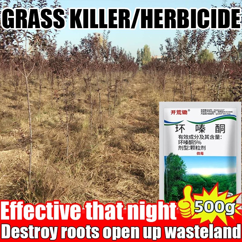Herbicide kill tree grass weed killer and control 500G hexazinone land ...
