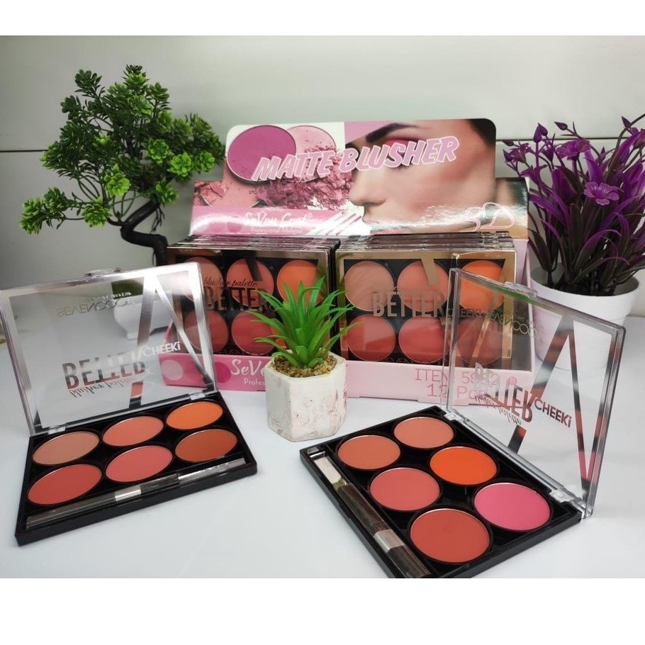 SevenCool Professional makeup Matte Blusher 6 colors makeup blush ...