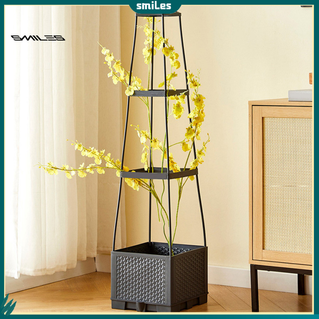 smiles| Tomato Planting Cage Planter Box with Automatic Watering System ...