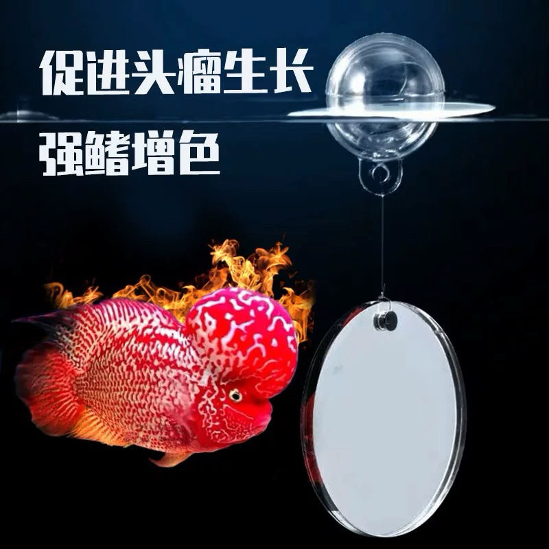Aquarium Betta / Flower Horn Training Mirror Acrylic Floating Mirror ...