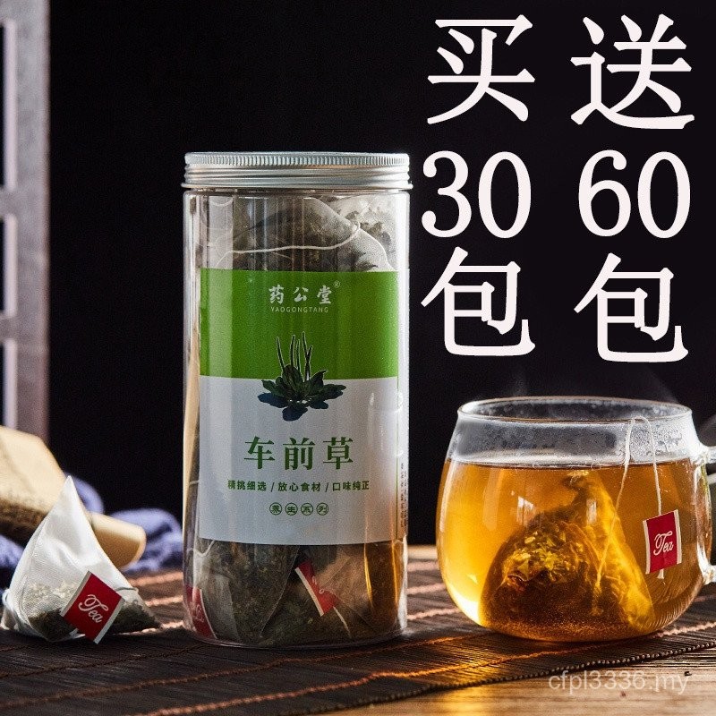 Wild Plantain Tea for Reducing Acid, Triangle Bagged Tea, Fresh ...