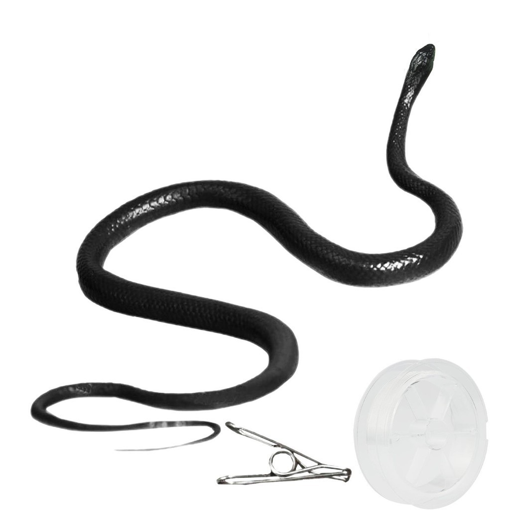 Snake Prank with String Clip Prank Snake with String Long-lasting Snake ...