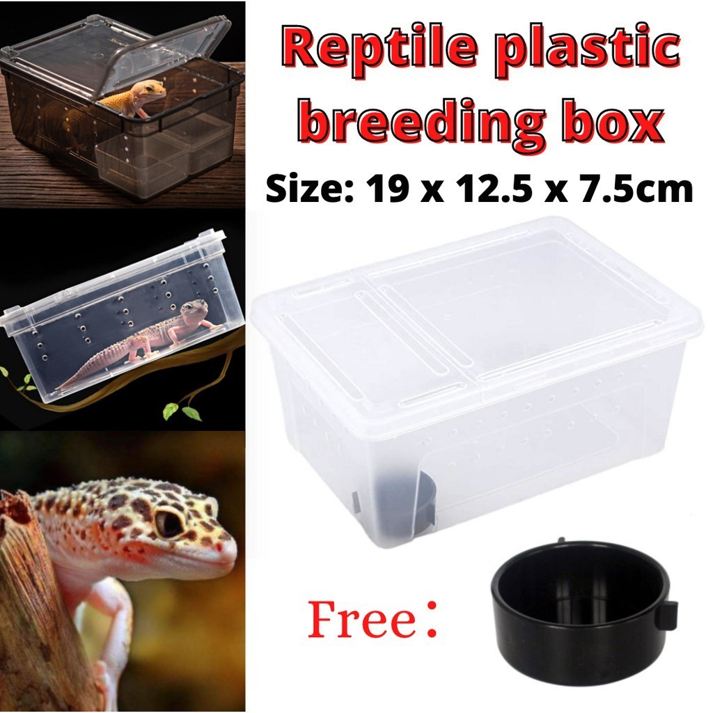 Reptile Plastic Breeding Box Shelter Insects Horn Frog Gecko Lizard ...