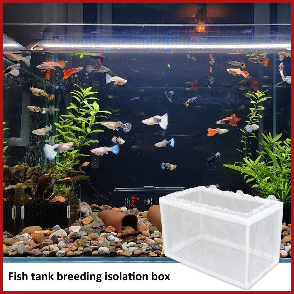 Fish Breeding Box Mesh Box Fish Breeding Tanks Juvenile Fish Separation ...