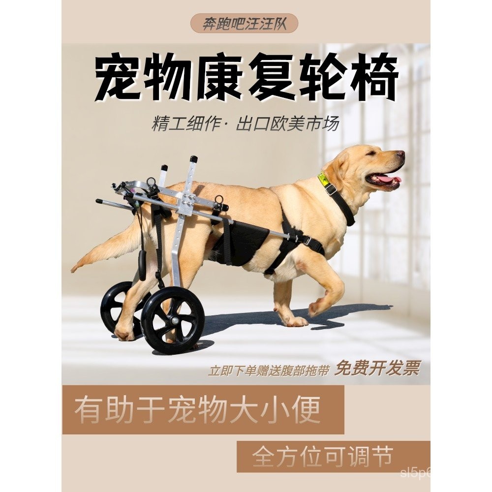 Medium Large Dog Wheelchair Rear Limb Rehabilitation Training Spine ...