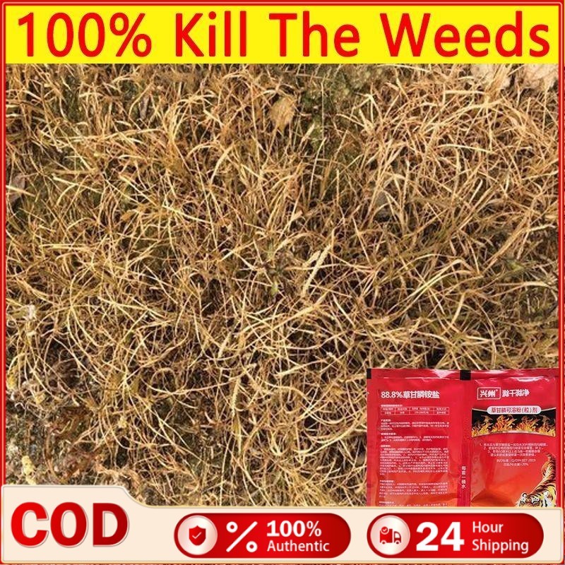 100g Weed Killer Powder Glyphosate herbicide 88% Root Rot | Shopee Malaysia