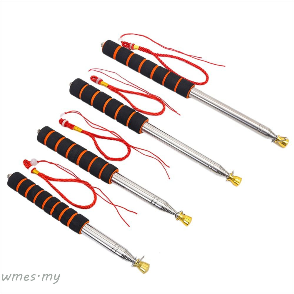 WMES1 Telescopic Flag Pole, Stainless Steel Handheld Pole Flag, Waving ...