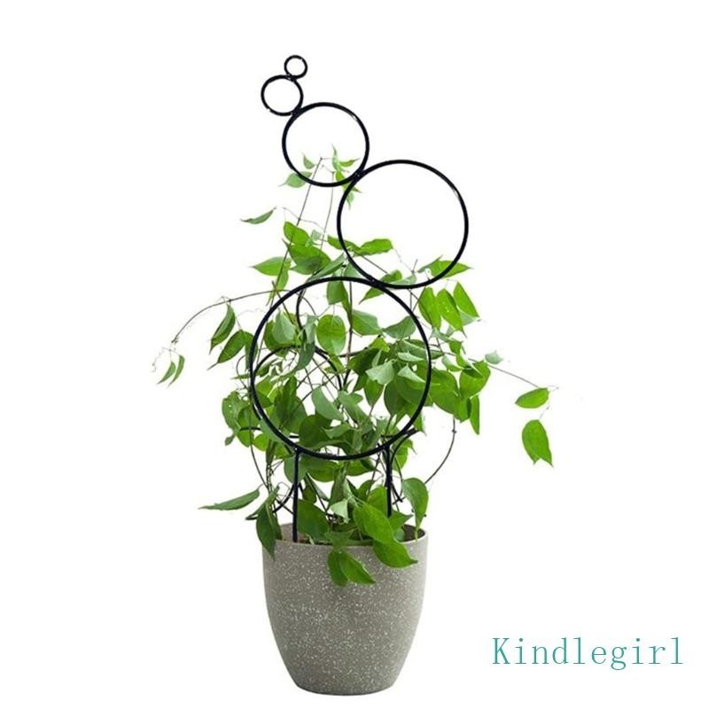 KING Indoor Plant Trellis Climbing Vine Rack for Garden Climbing Plant ...