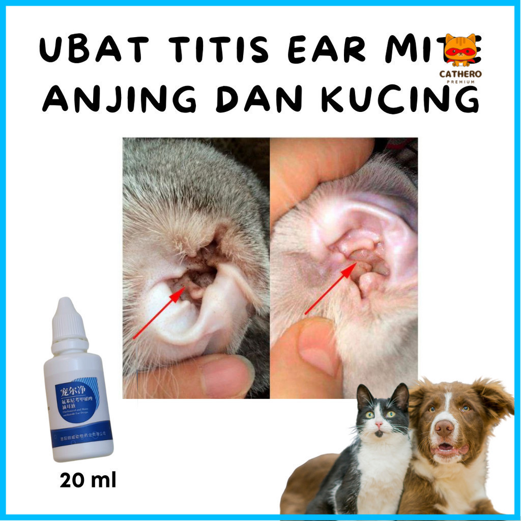CatHero Ear Drop Kucing Merawat Ear Mites Fungus Luka Nanan Bisul ...