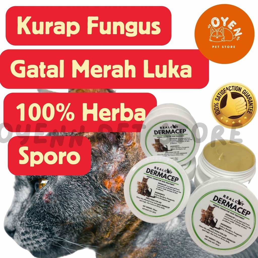 OYENN Ubat Fungus Krim Cream Kurap Kudis Luka Sporo Ringworm Gatal Pet ...