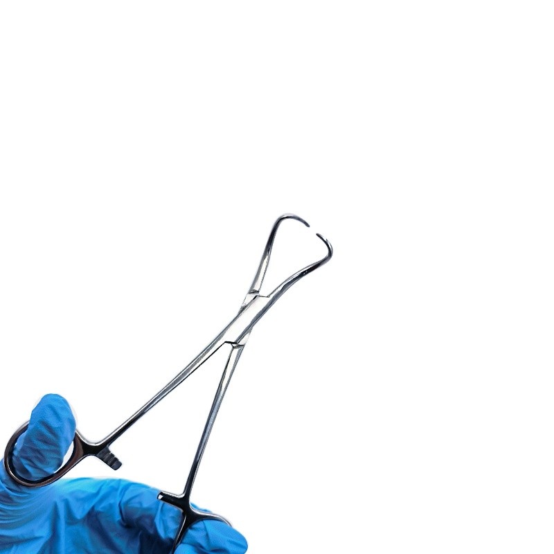 Stainless Steel Dental Tool Cloth Towel Clamp Forceps Dental ...