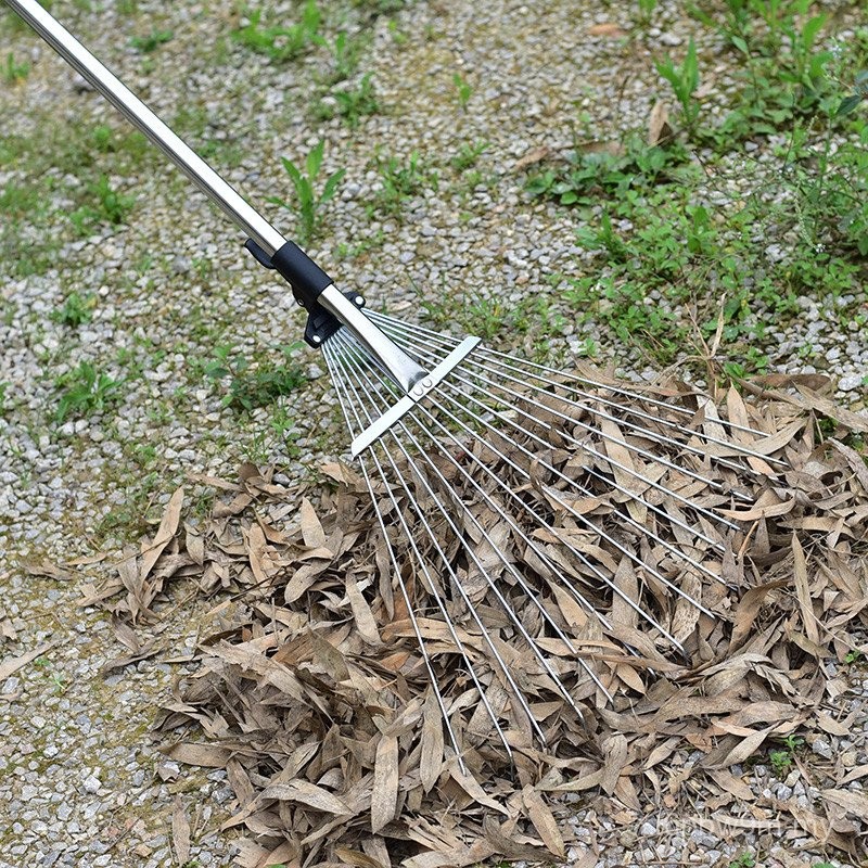 Rumput Isi Rumah Keluli Tahan Karat Teleskopik Rumput Rake Besi Rake ...