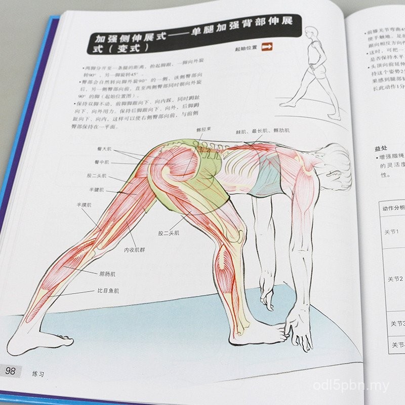 Panduan Bergambar Penuh Warna Anatomi Yoga oleh Iniki Jenkins dan ...