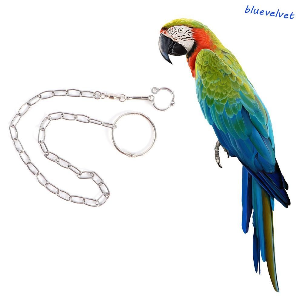 BLUEVELVET Parrot Leg Ring Parakeets Stainless Steel Budgerigar Split ...
