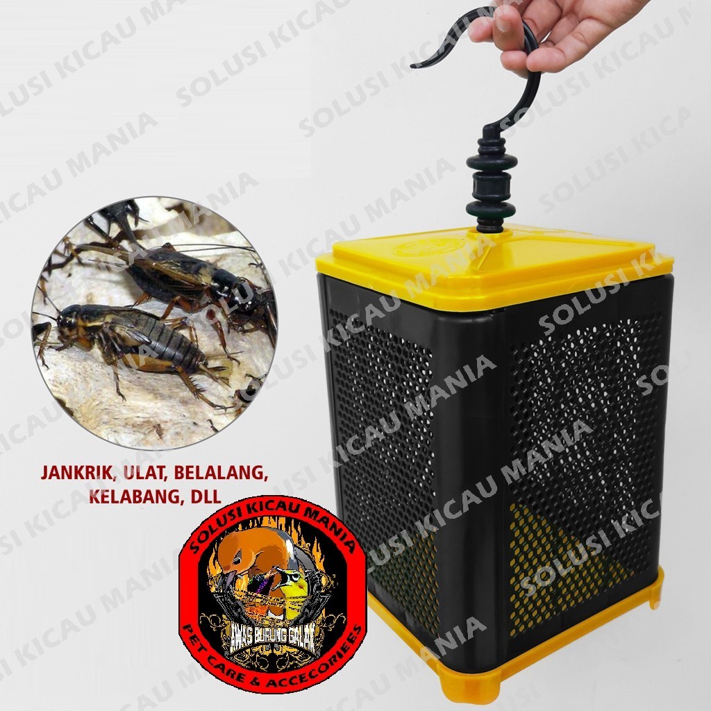 Cricket CAGE CONTAINER BOX FOR LIVESTOCK BREEDS EELTS'S NESTS HANGING ...