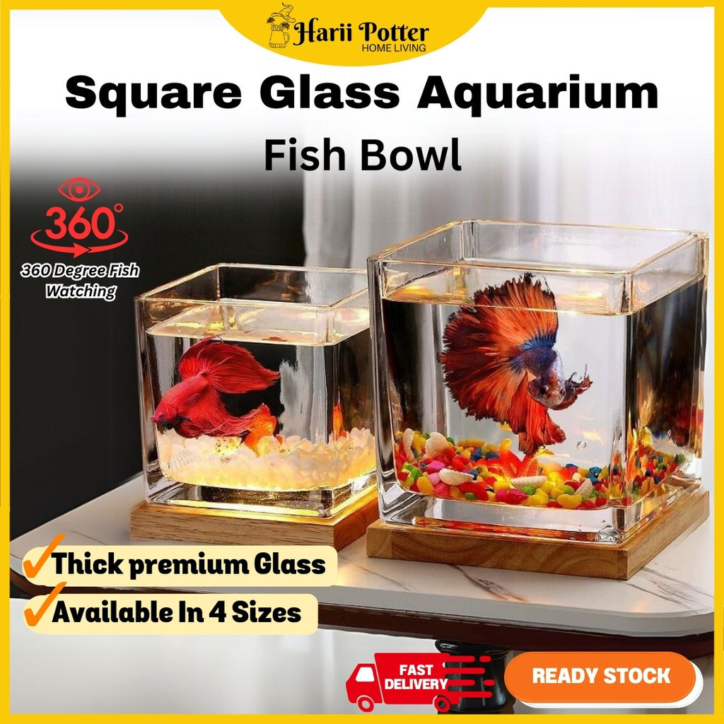 Aquarium Clear Transparent Mini Square Glass Vase For Small Plant ...