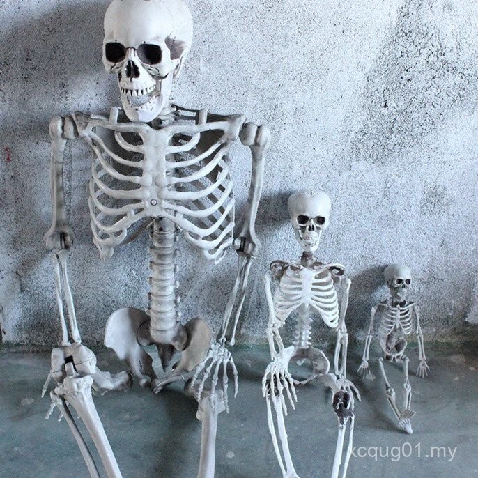 Skeleton Skeleton Decoration Halloween Horror Haunted House Decoration ...