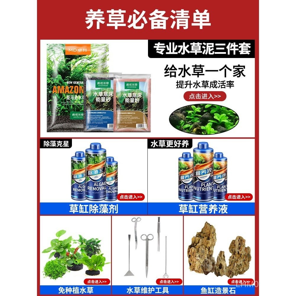 Plant Real Grass#蜈蚣水草全套水培植物#鱼缸莫斯水草水榕造景@ Negative Lazy People E2MK | Shopee Malaysia