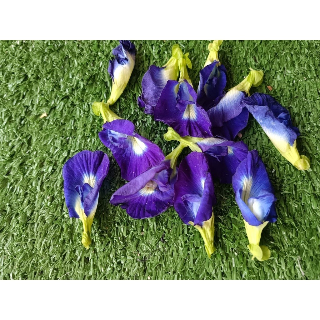 Bunga Telang Kering Organik Semulajadi | Natural Organic Blue Pea ...