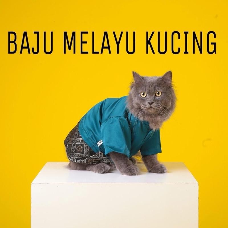 Baju Melayu Kucing Cekak Musang Raya 2025 jantan comel gemok cat ...