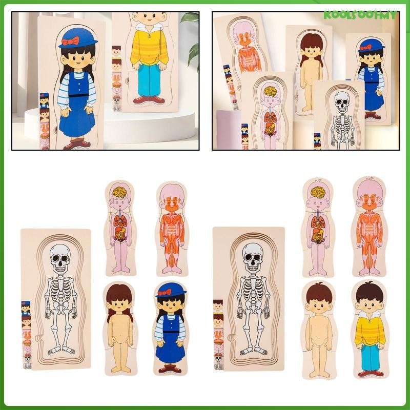 [KoolsoobdMY] Human Body Puzzle, Human Body Skeleton Toys Playset ...