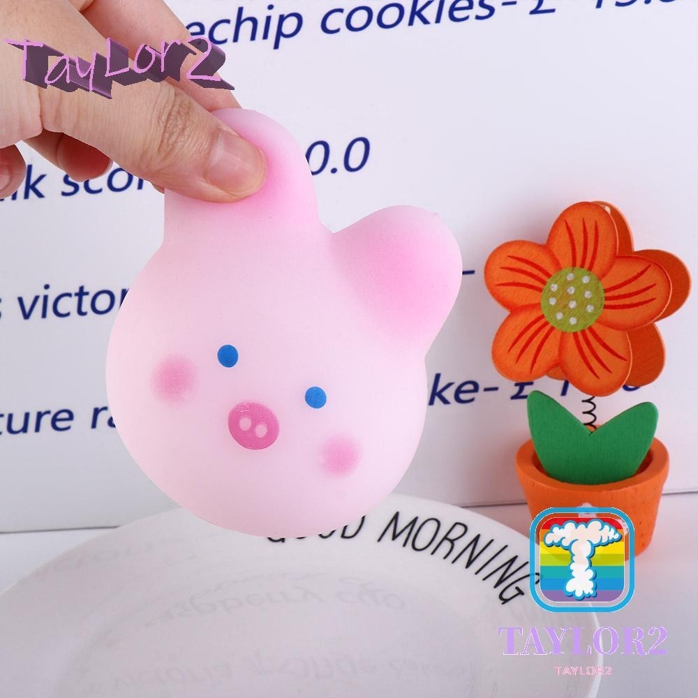 ATAYLOR Pink Pig Squeeze Toy, Mochi Pink Squeeze Pinch Toy, Release Toy ...
