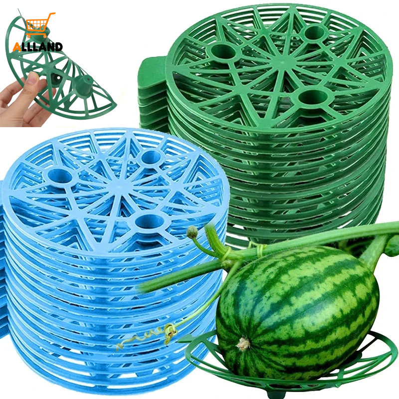 Watermelon Fruit Support Basket Frame Prevents Rot Vegetables Plant ...